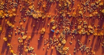 The ultimate Pilbara road trip | YourLifeChoices