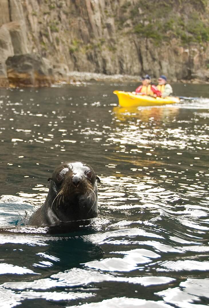 The best camping spots in Tasmania | YourLifeChoices