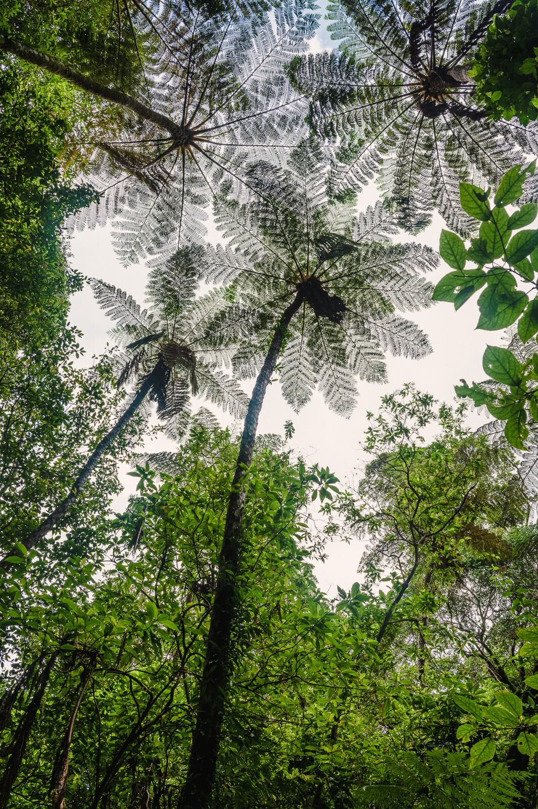 Unique and affordable: Amami Islands of Japan | YourLifeChoices