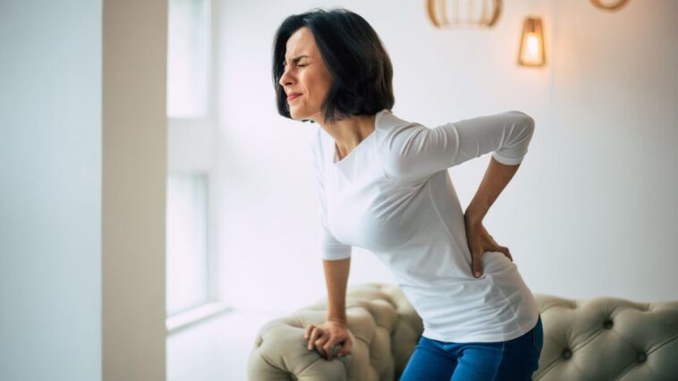 Plagued by low back pain? This study is for you | YourLifeChoices