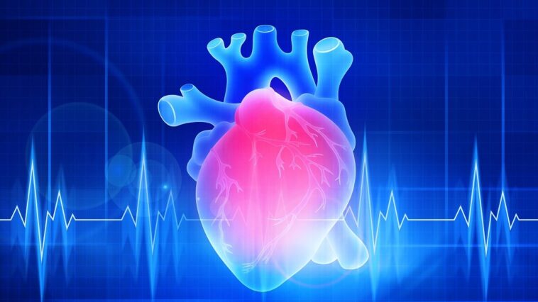 What your heart rate reveals about you | YourLifeChoices