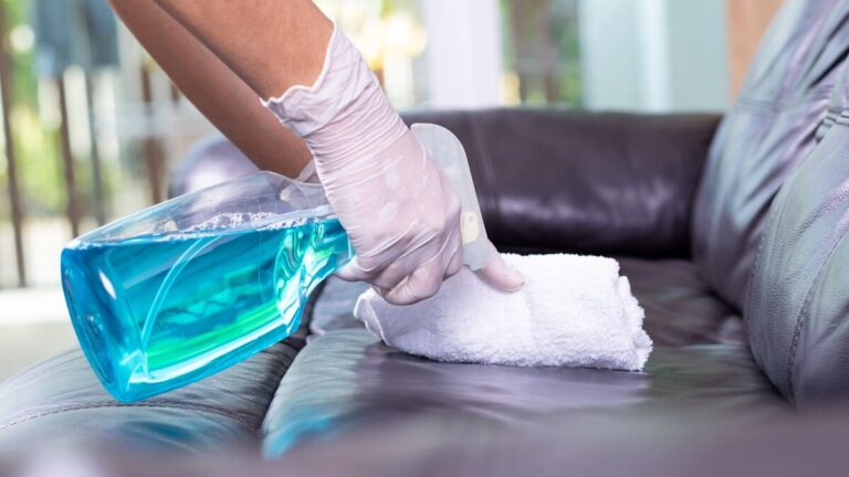 How to clean a leather couch without stress | YourLifeChoices