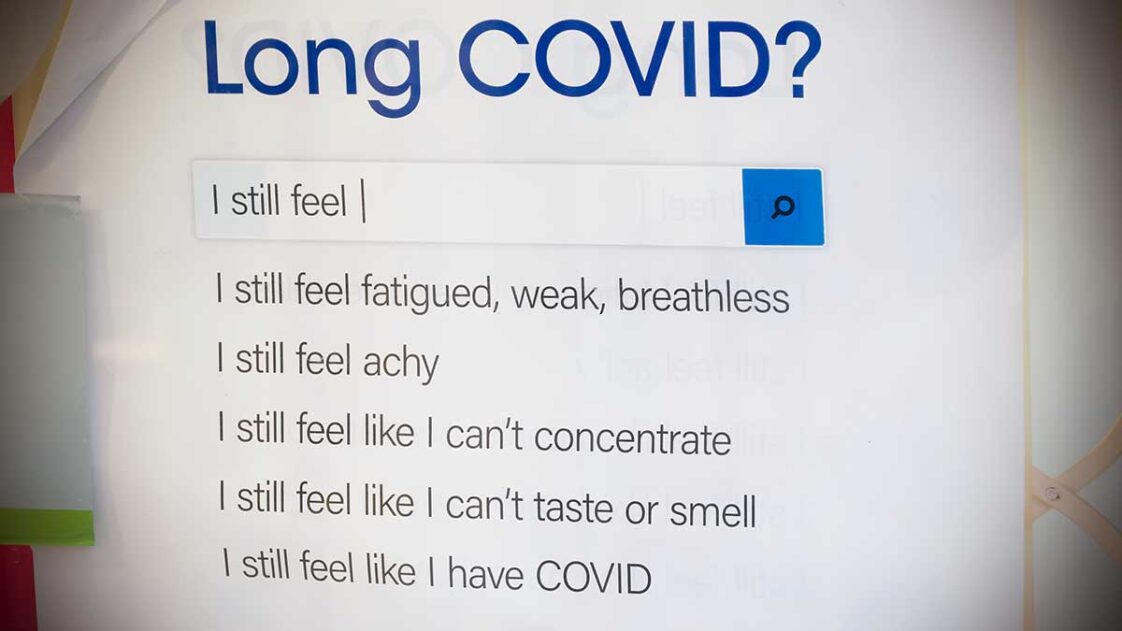 Scientists trace COVID-19's roots to bats in a surprising region | YourLifeChoices