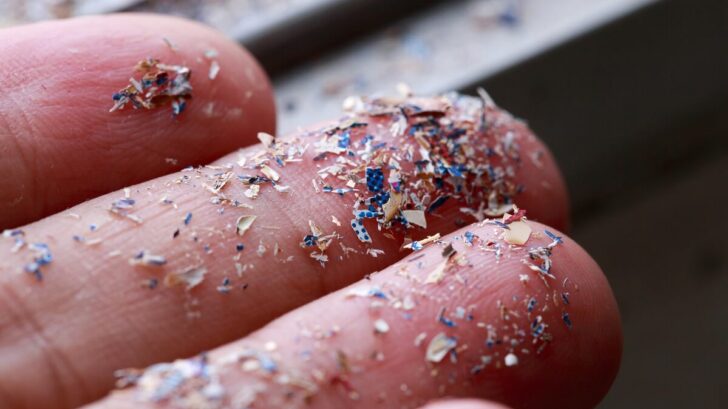 How to avoid microplastics in your home | YourLifeChoices