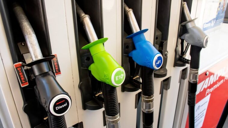 Three Bs of Berlin | YourLifeChoices