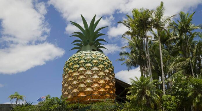 From underwhelming to unforgettable: Ranking Australia's big things | YourLifeChoices