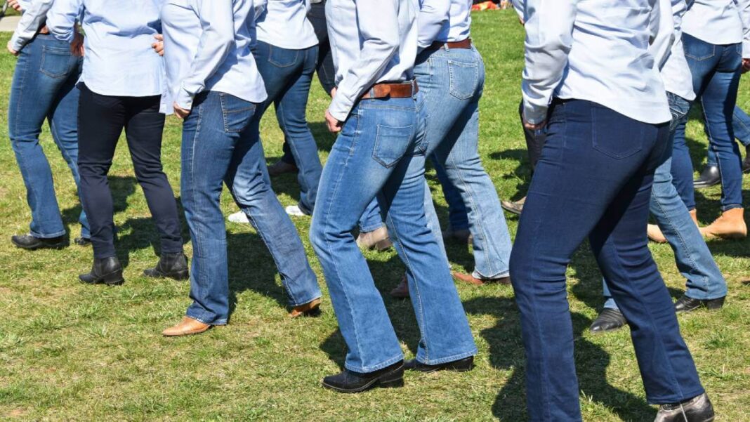 Nutbush City Limits researchers trace origins of renowned dance ...