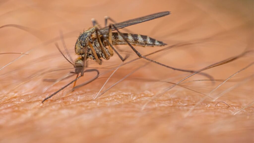 Climate change and chemicals on your skin put you at greater risk of ...