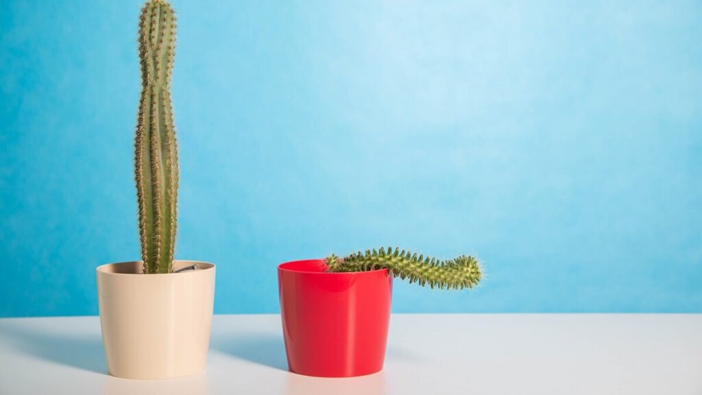 One in four Australian men over 40 experience erectile dysfunction, but ...