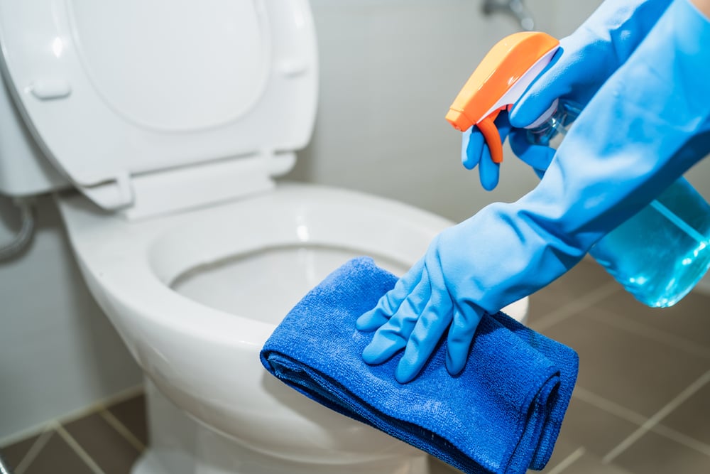 The great toilet brush debate: When to replace yours for optimal ...