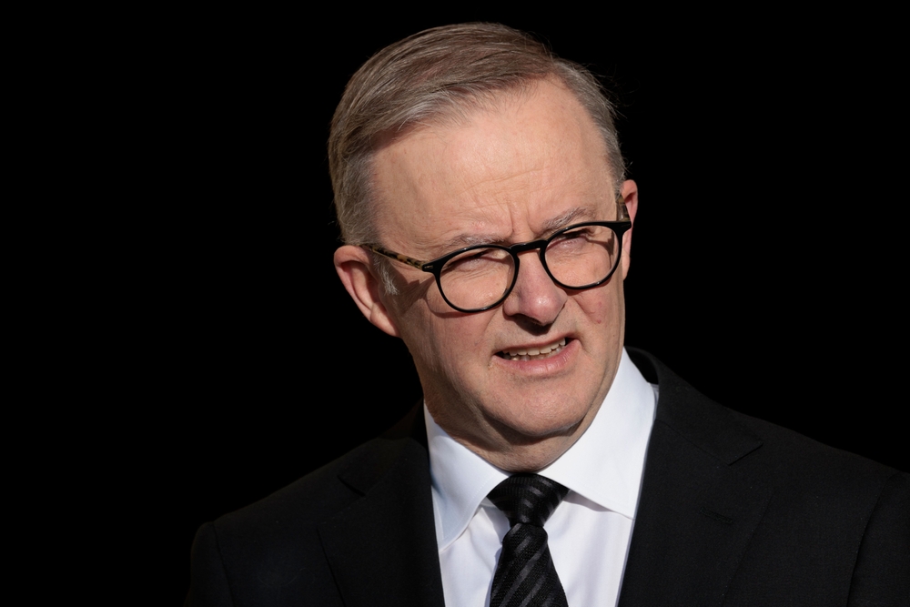 'Deeply perverse': US figure weighs in on Albanese plan | YourLifeChoices