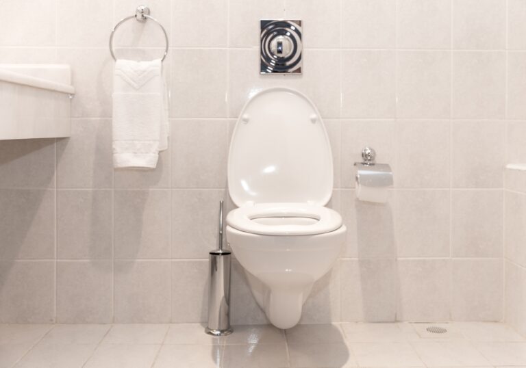 Are you flushing wrong? Experts warn about leaving the toilet lid open ...