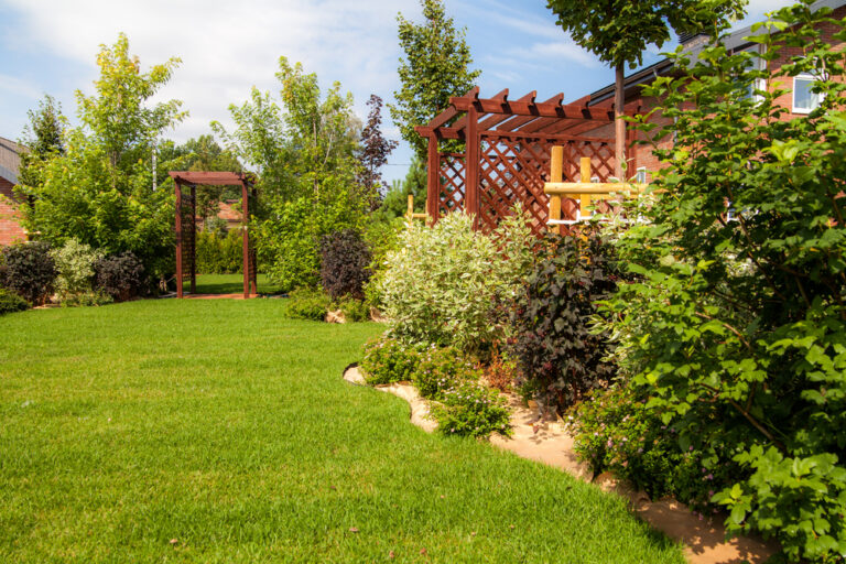 Is your neighbour’s tree creeping in? Don’t cut it until you read this ...