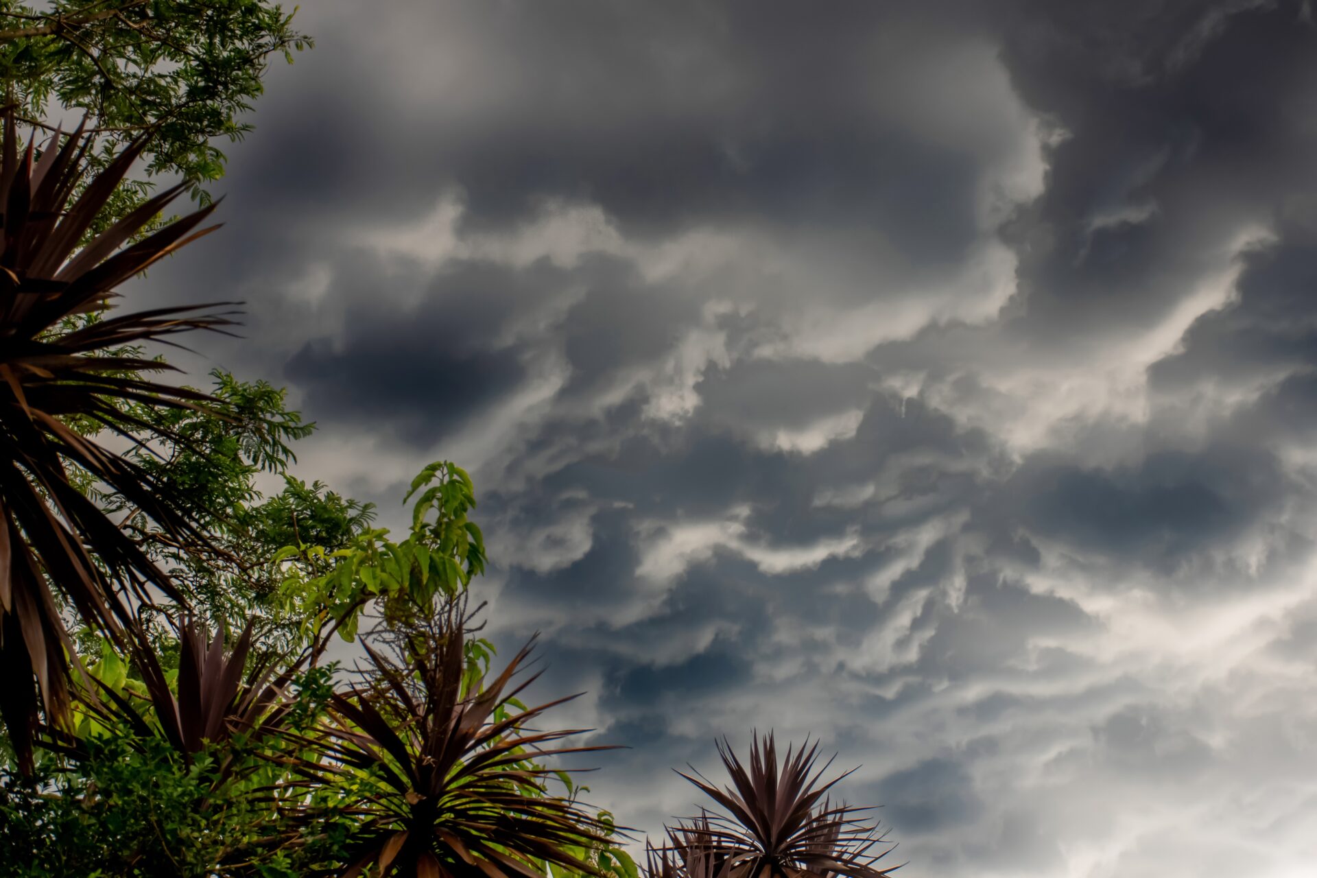 November's rare visitor: Cyclone Fina makes unwelcome early arrival in ...