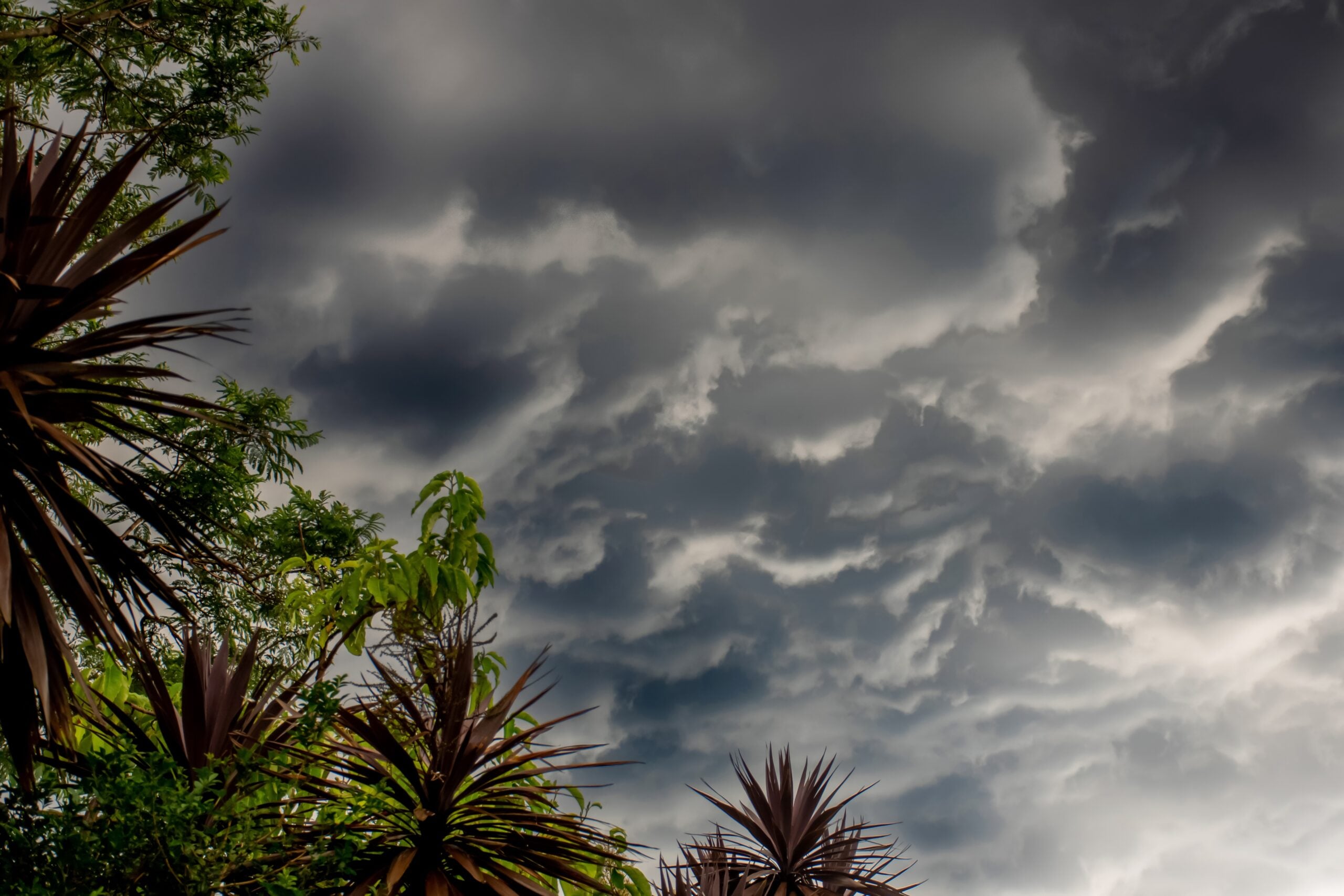 Australia braces for 'most powerful cyclone' in over a decade—are you ...