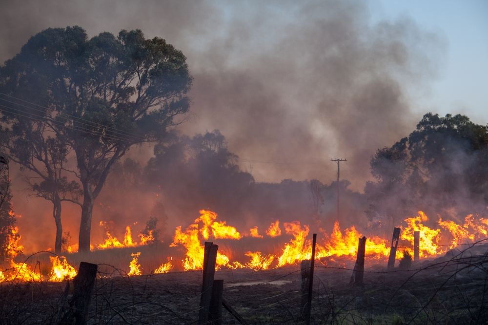 This could be Australia’s most dangerous bushfire season yet—are you ...