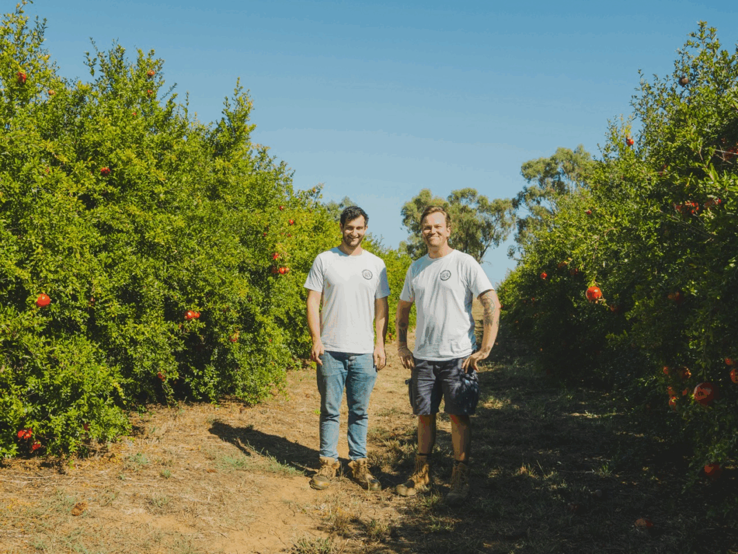 How Farmers Pick brings affordable, fresh, and sustainable food ...