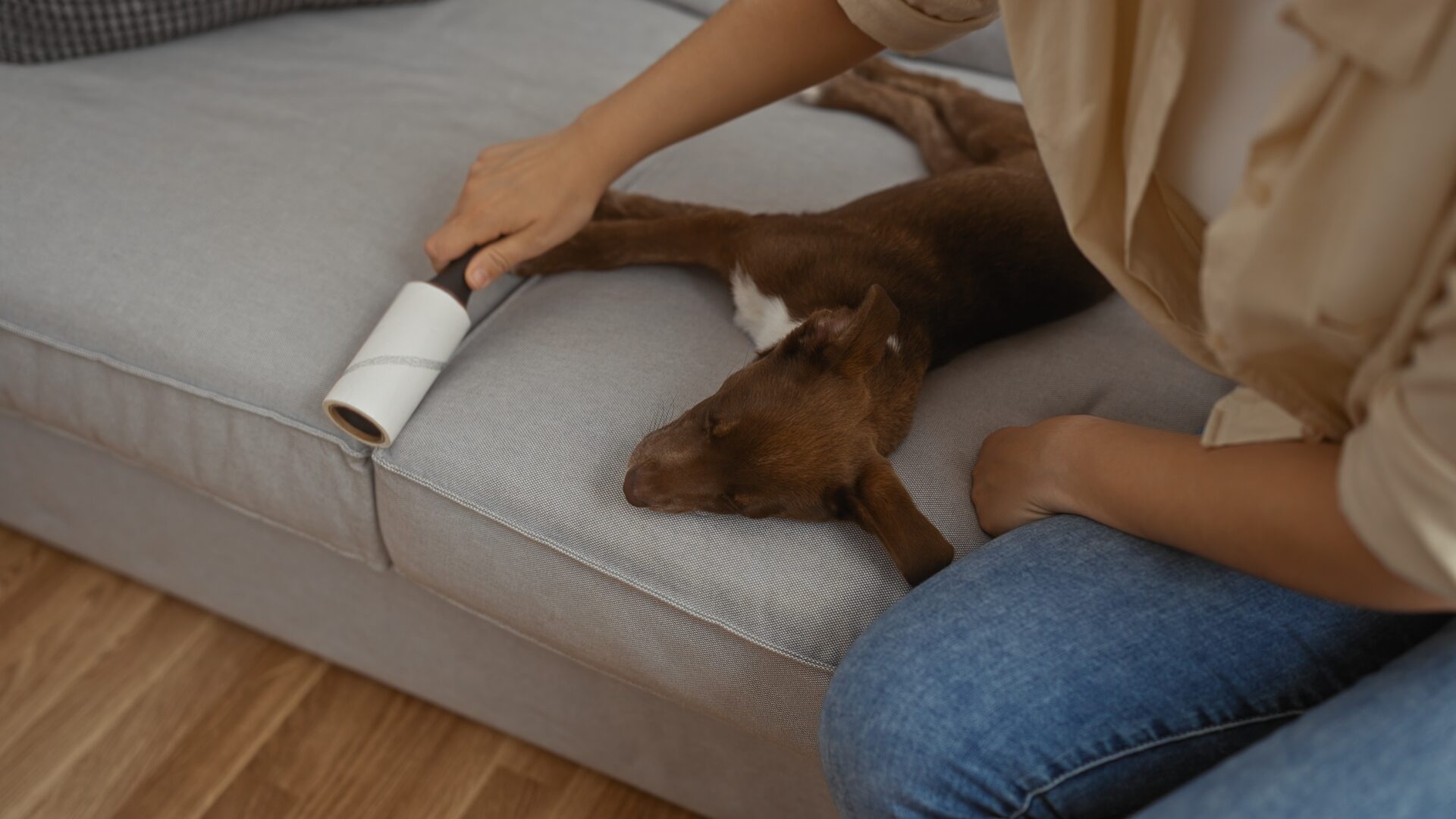 Are you making the most of your lint roller? Try these smart cleaning ...