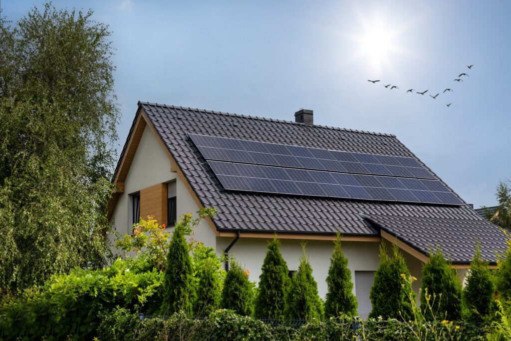 Should you trust ALDI with your rooftop solar? | YourLifeChoices