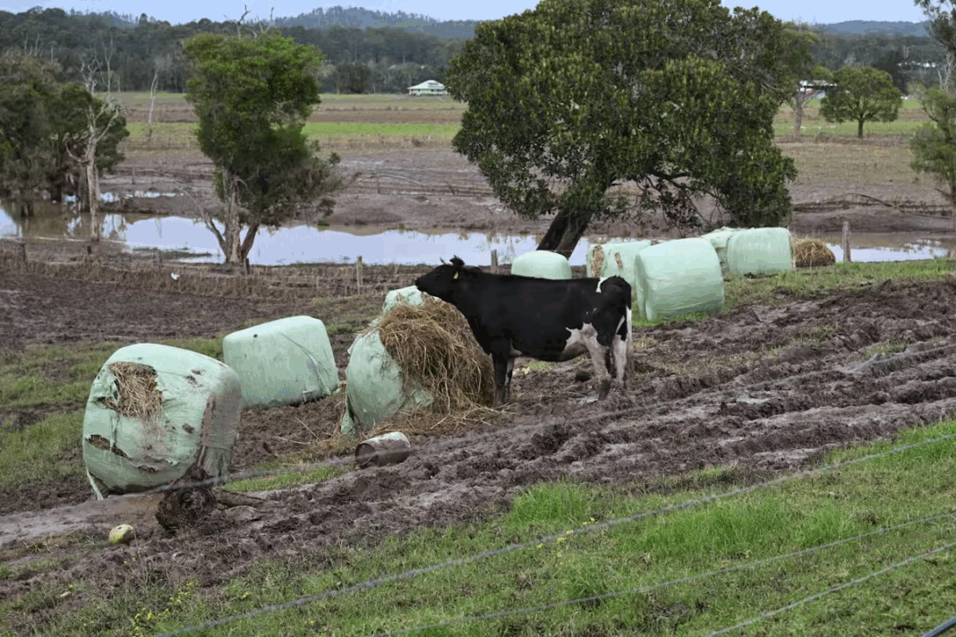 Australia’s new food security strategy: what’s on the table, and what’s ...