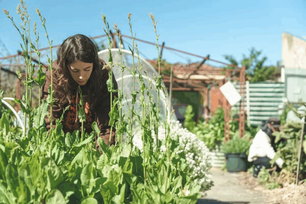Australia’s new food security strategy: what’s on the table, and what’s ...