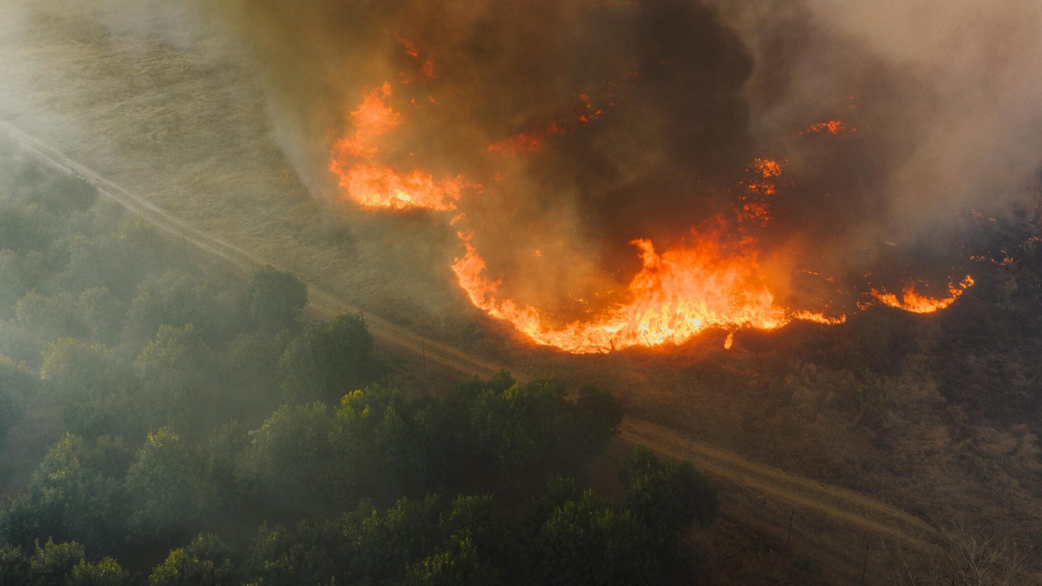 Families fight for justice in $200 million bushfire class action ...