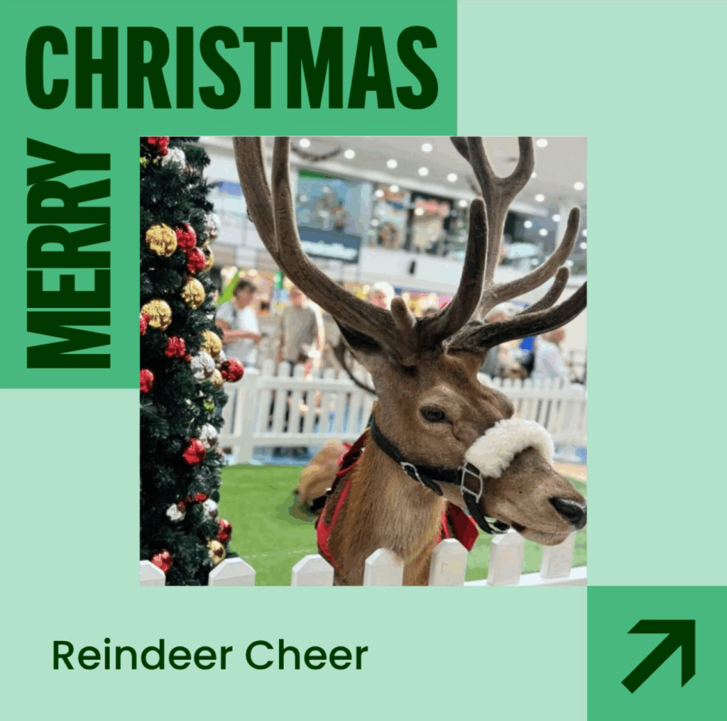 Christmas reindeer display sparks fierce debate and rapid backdown ...