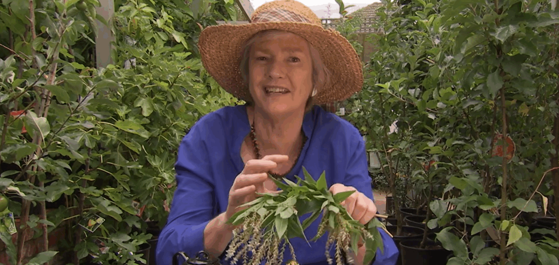 Beloved gardening presenter says ‘it’s time’ to hang up the trowel ...