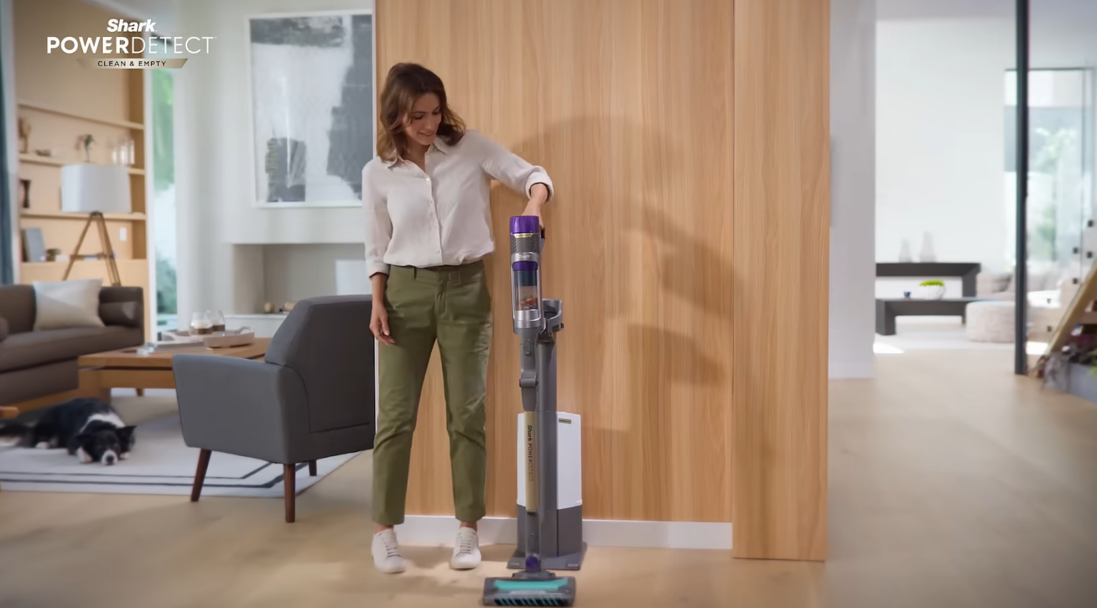 Transform your cleaning routine with Shark PowerDetect Cordless Clean ...