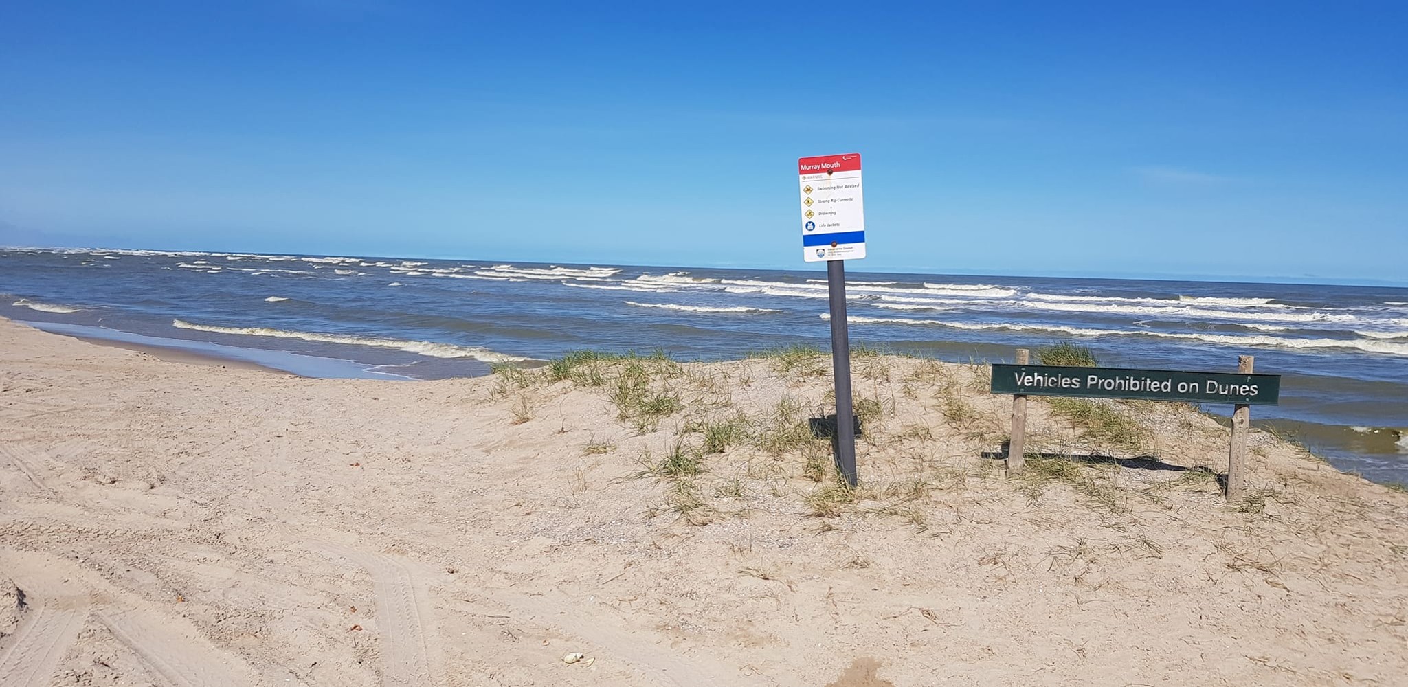 Can council measures solve the beach chaos? Plan unveiled for popular ...