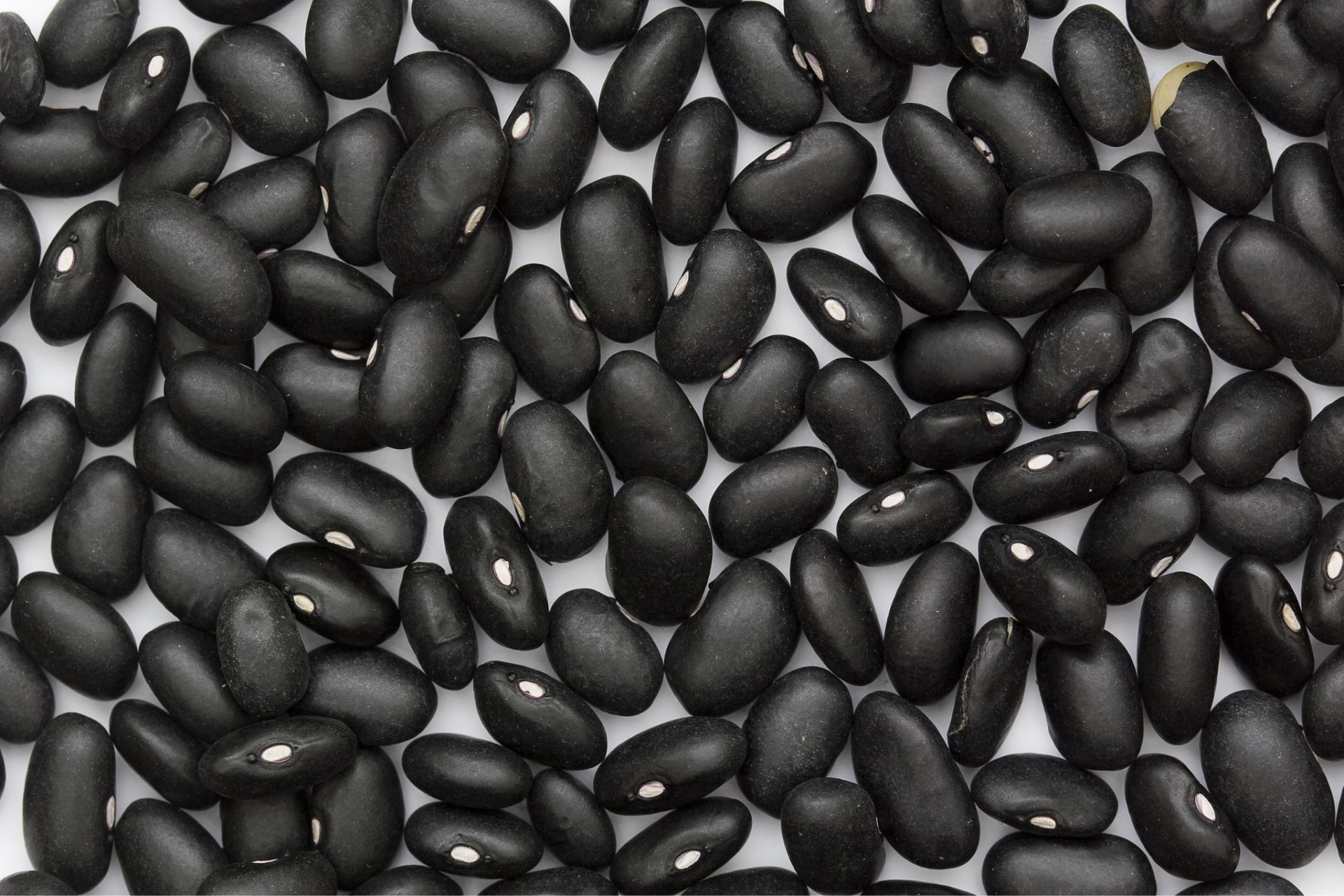 From baked to black: Nutritionists rank the healthiest beans for your ...