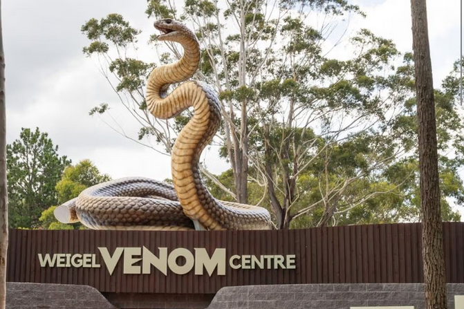 Discover the quiet Australian facility that saves 300 lives a year ...