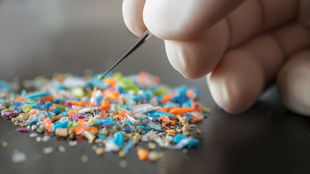New evidence challenges the claim of microplastics in the body—are we ...