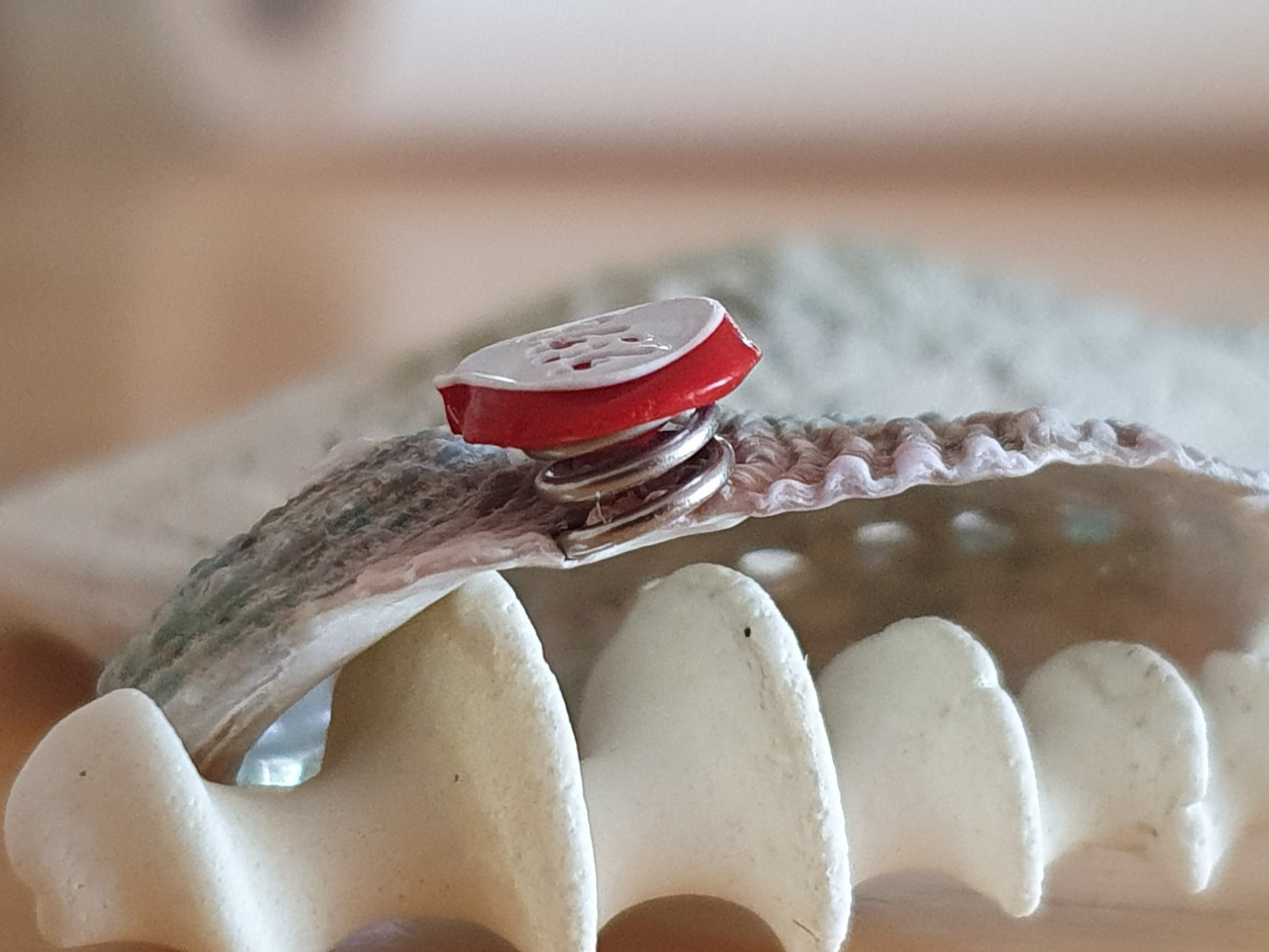 An unexpected code on the shoreline: One woman’s beach find unlocks a ...