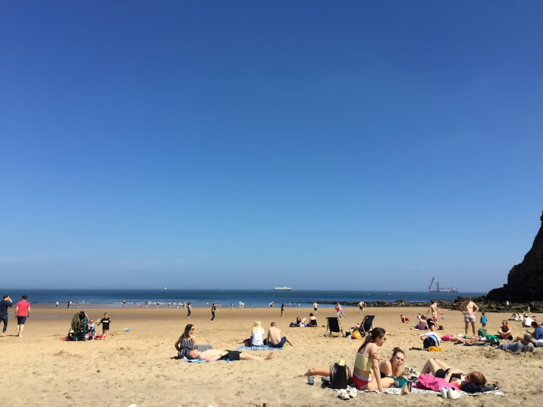 Council's shocking response to a child's beach day outing leaves ...