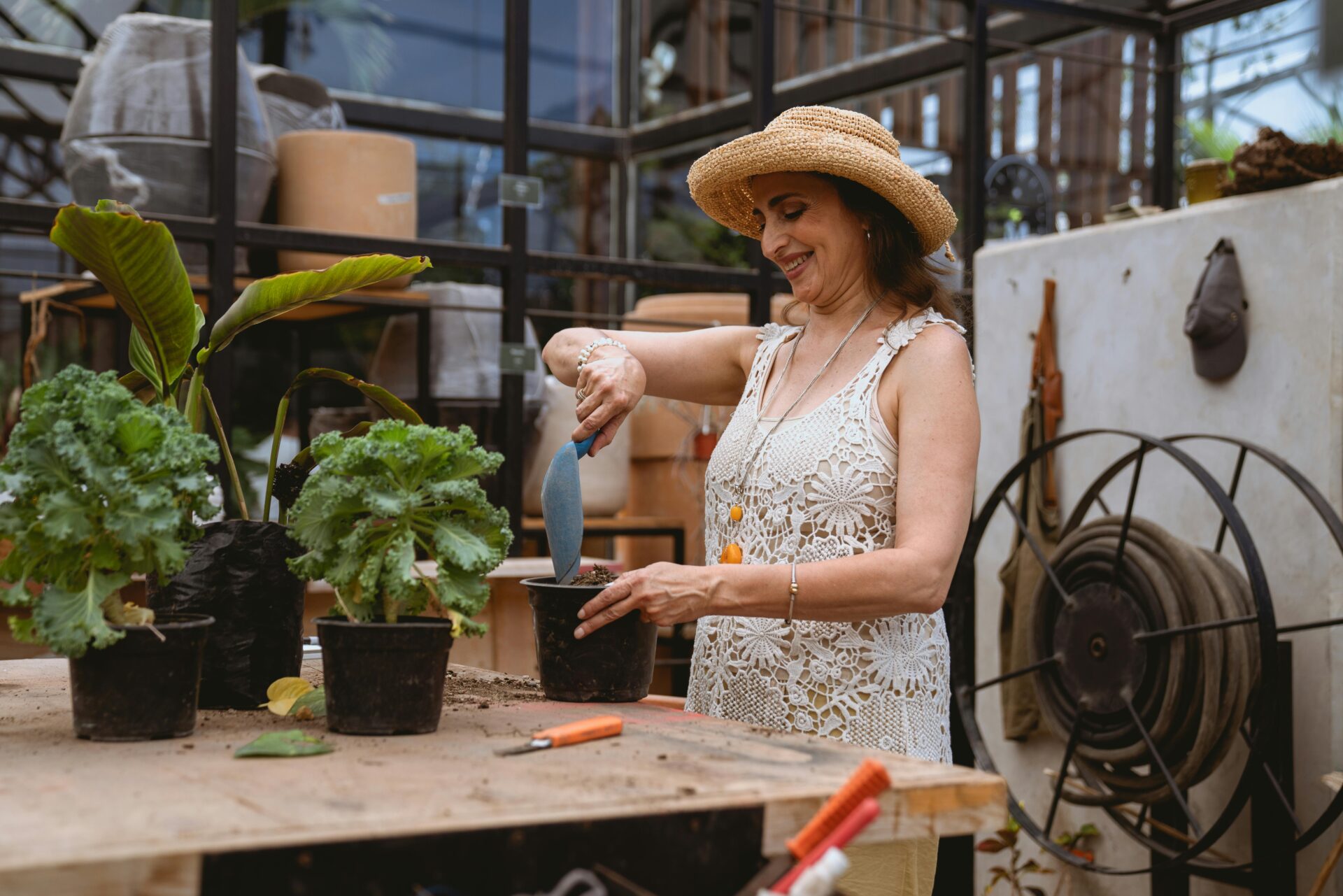 Too many plastic pots piling up? Here’s the sustainable fix ...