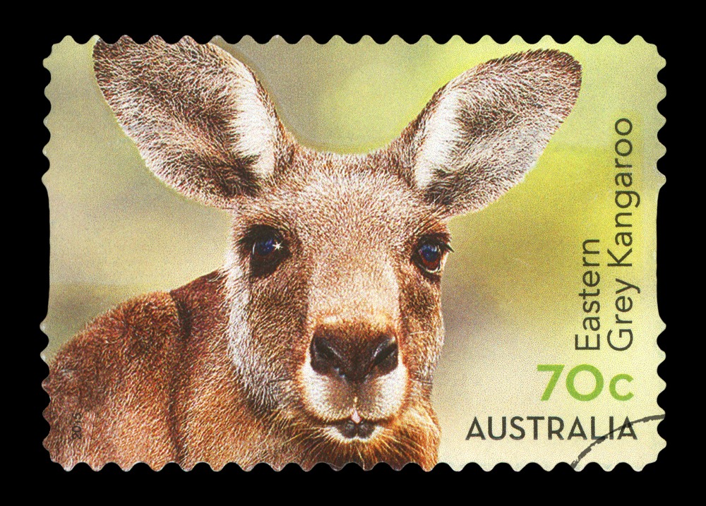 Beat the hike: Australia Post's new Lunar stamps shine before postage ...