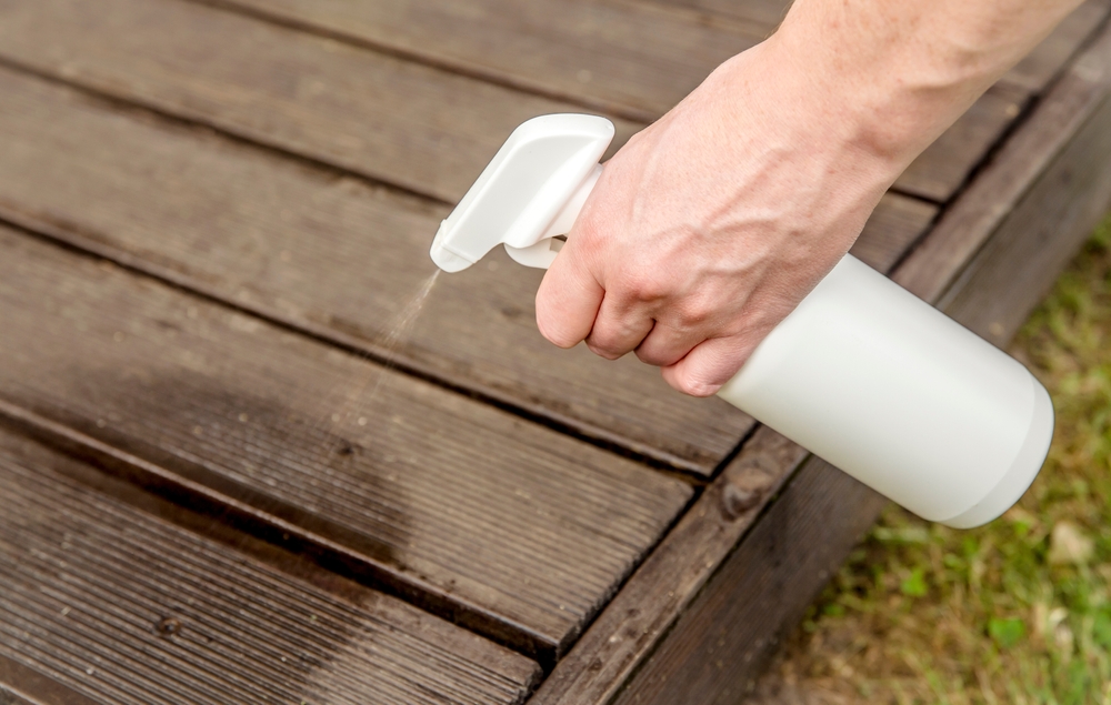 End cockroach invasions today with these seven proven steps ...