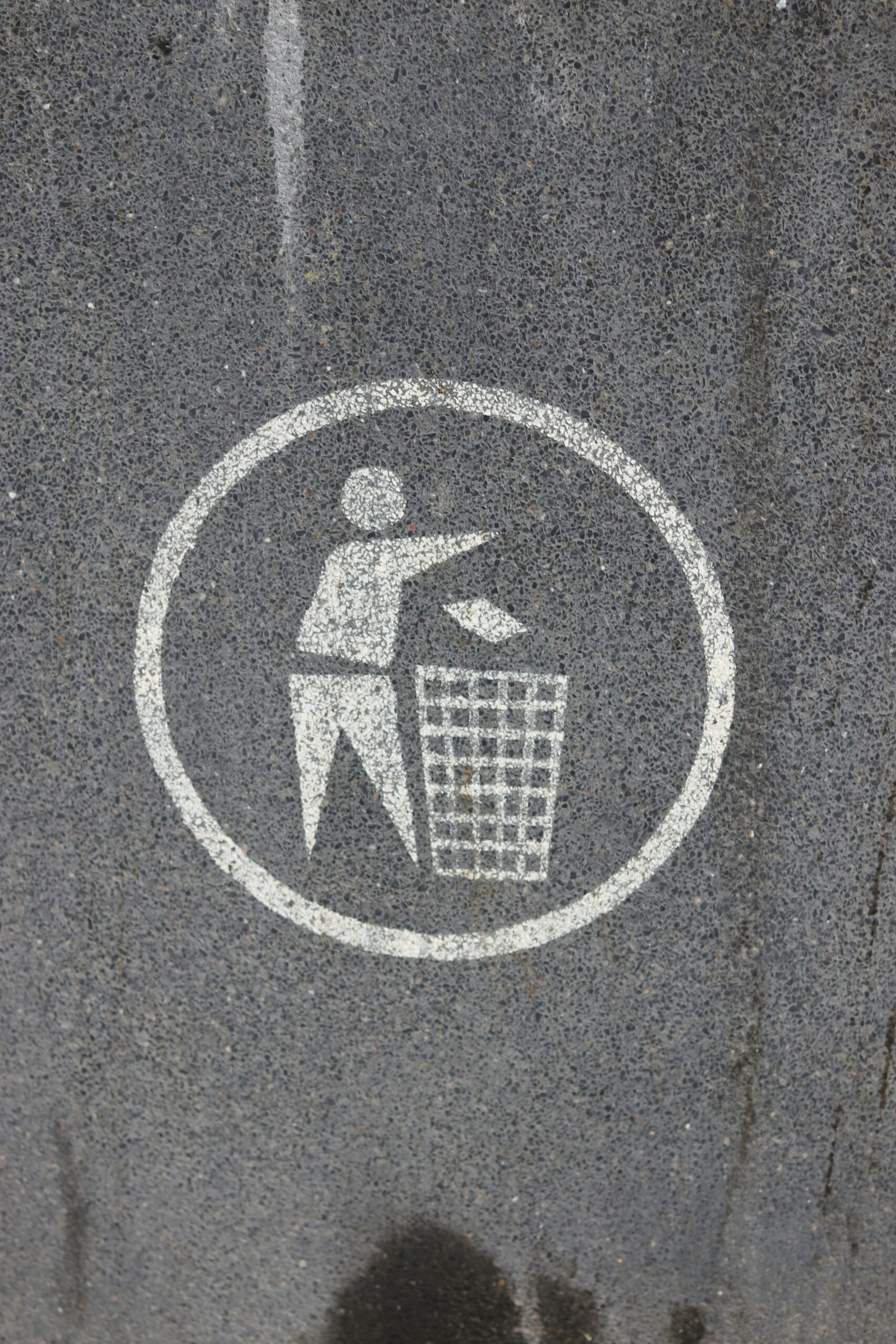 You won’t believe what happened after one bin night mistake—the whole ...