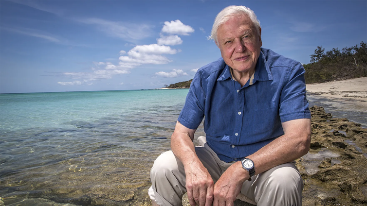 From fossicking for fossils to a champion for life on Earth: Sir David ...