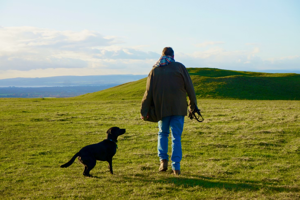 Elderly dog walker killed in random alleged rampage: How to stay safe ...