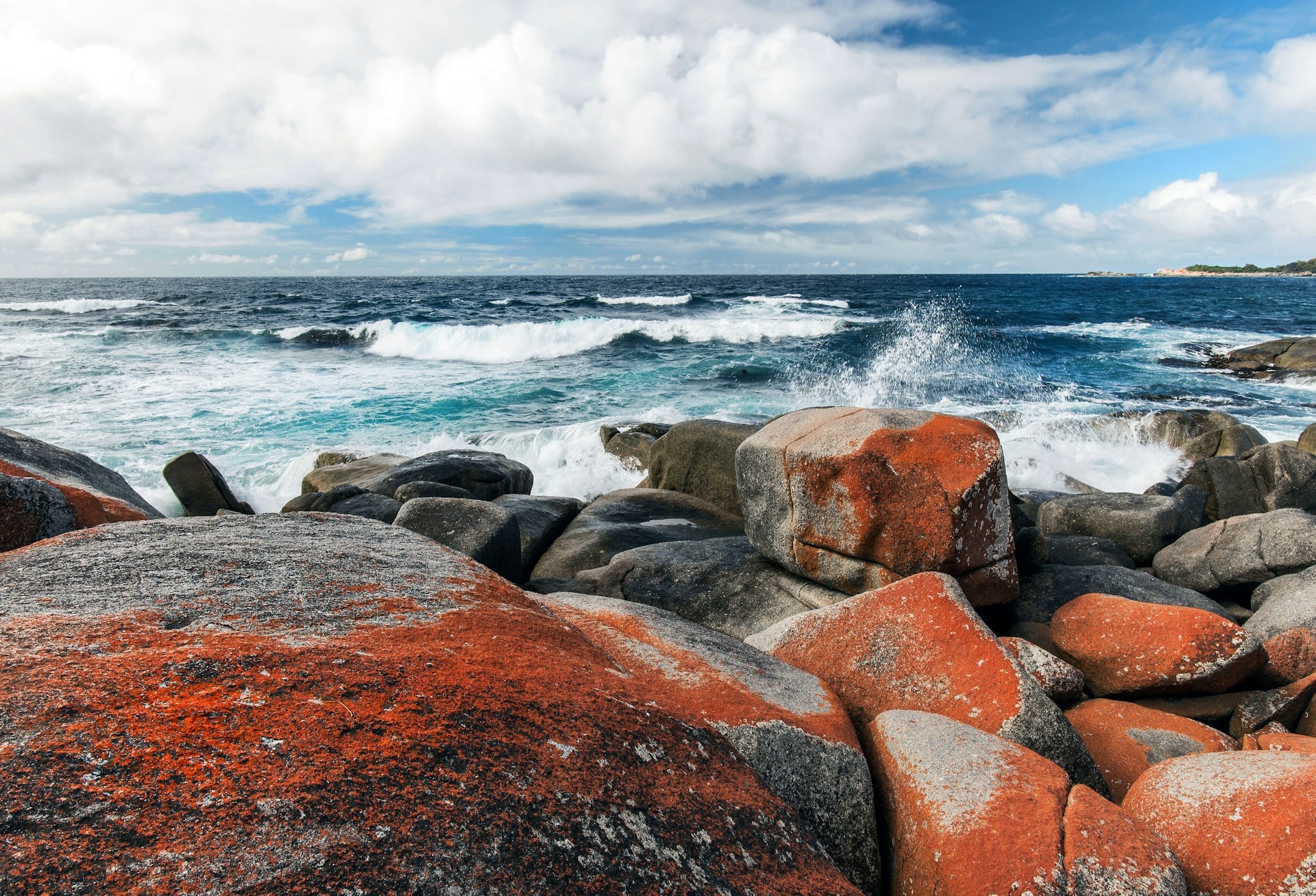 Home and Away cast swaps Summer Bay for shark-infested waters, and a ...