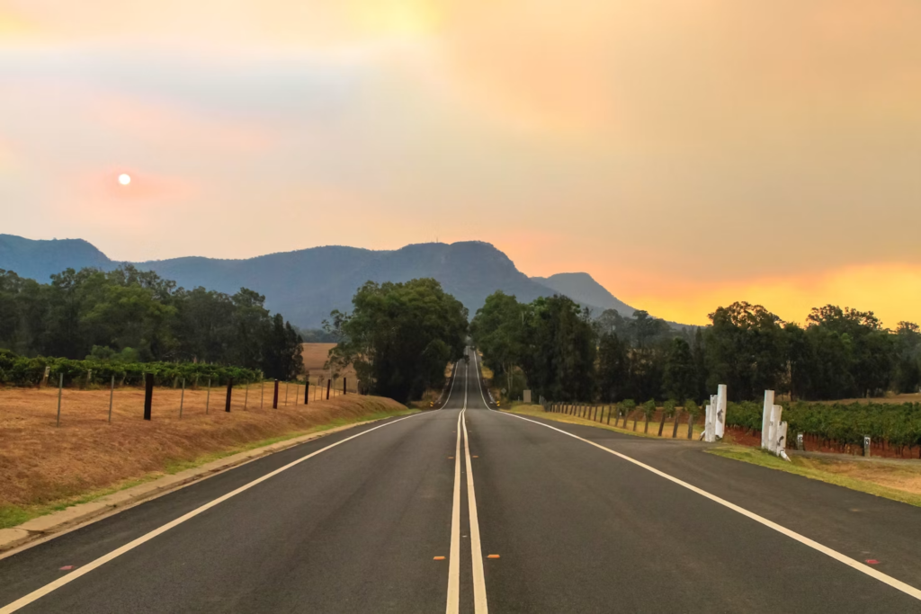 Double demerits are coming this King’s birthday weekend: Here’s what ...