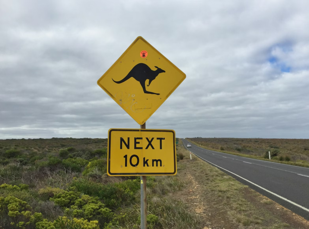 Double demerits are coming this King’s birthday weekend: Here’s what ...