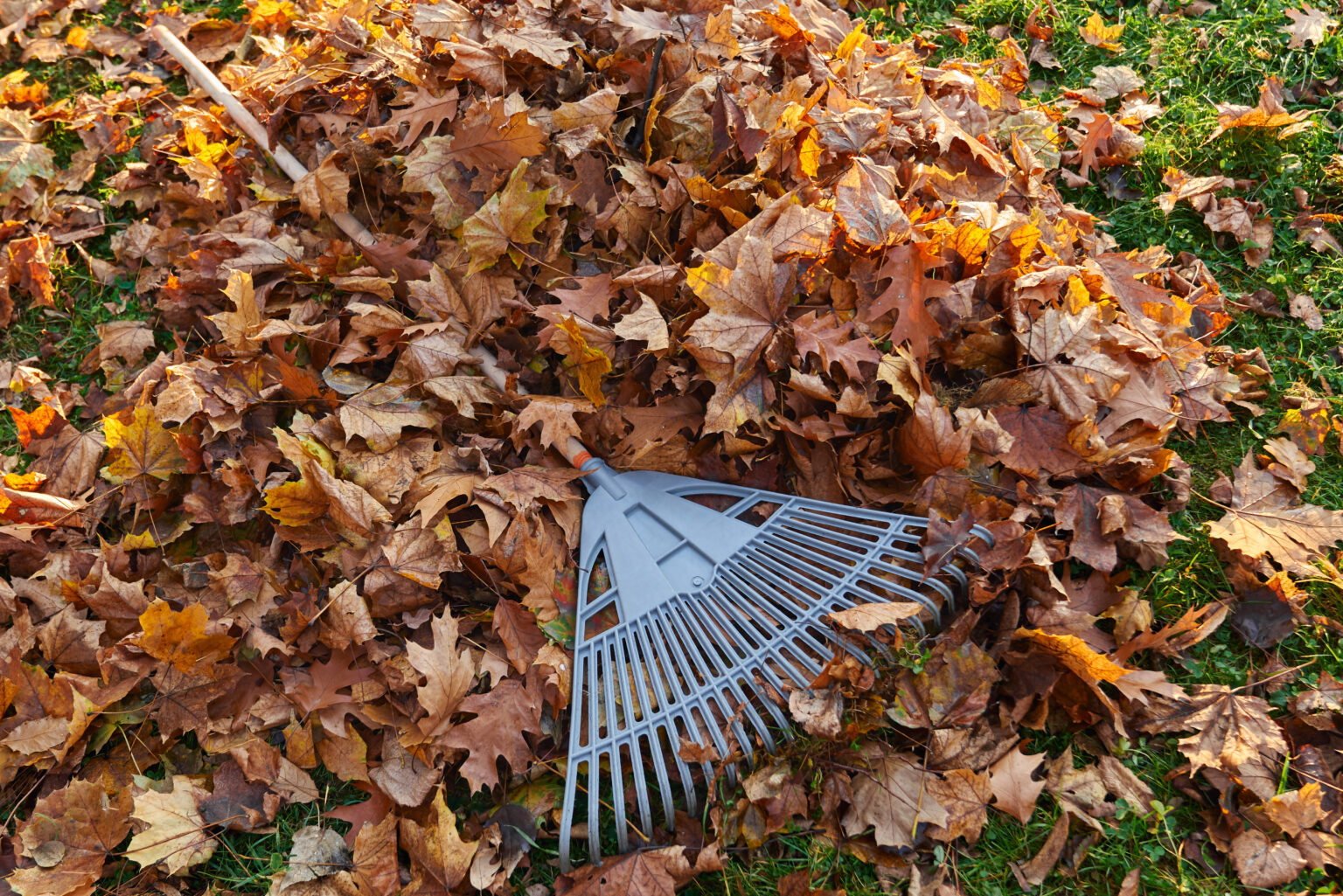 Overflowing garden bins? Here’s a simple fix to fit way more leaves ...