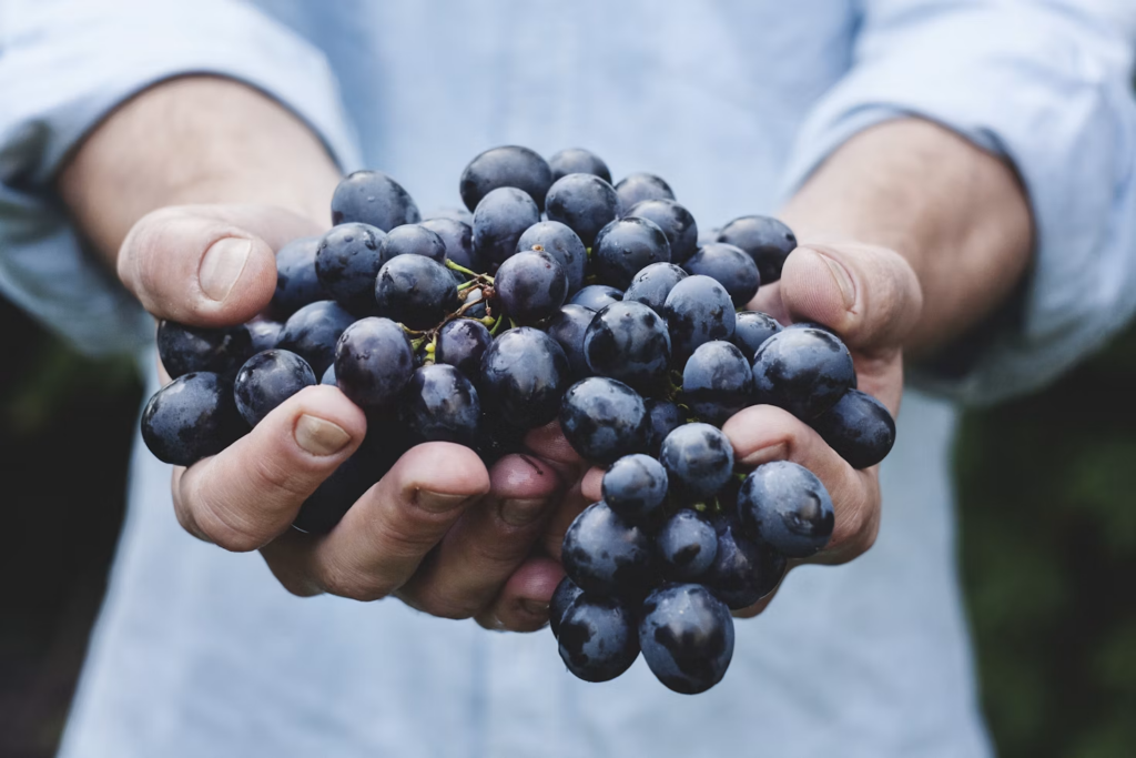 The great grape debate: Are you a 'bag grabber' or a 'customiser ...