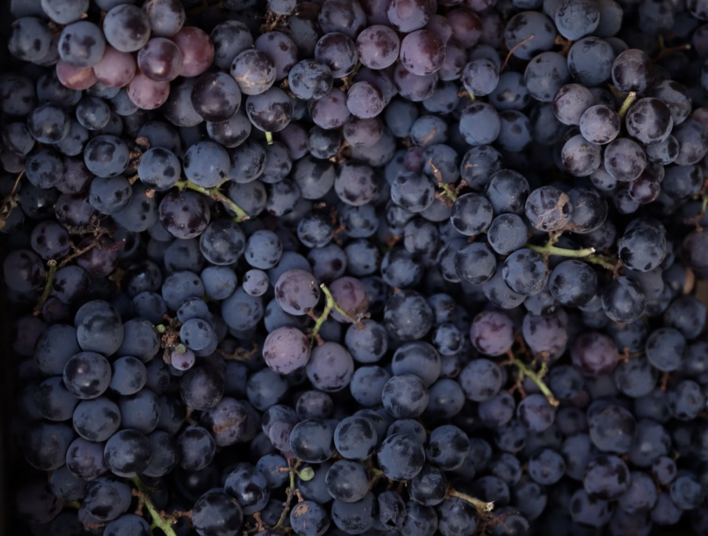 The great grape debate: Are you a 'bag grabber' or a 'customiser ...