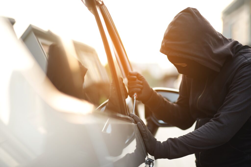 The state where car theft has become an everyday reality | YourLifeChoices