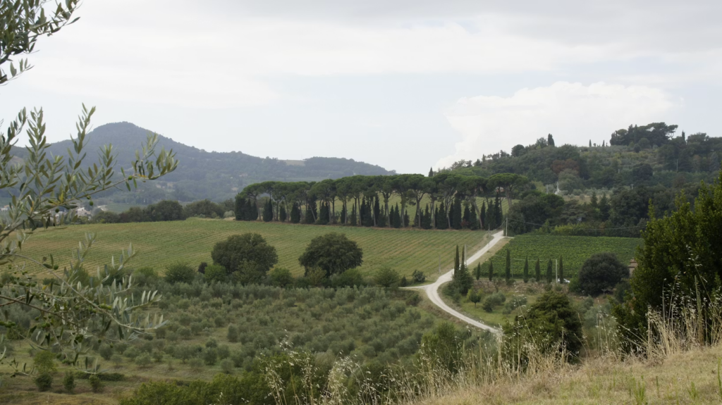 One of Australia’s most wanted men found living as a Greek olive farmer ...