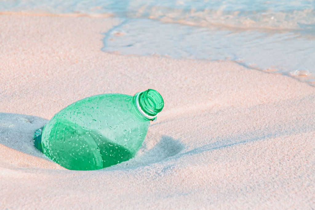 How a beach cleanup crew turned rubbish into $9,000 | YourLifeChoices